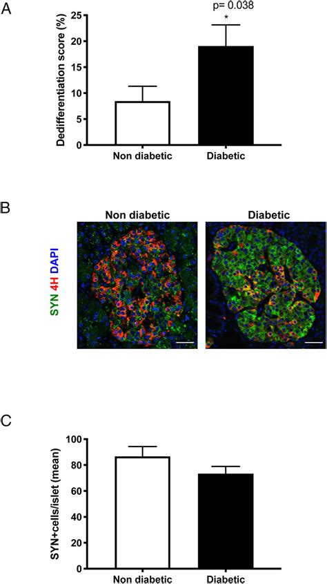 Quantification Of Dedifferentiation Score A Dedifferentiation Score Download Scientific