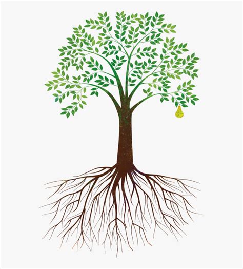 Transparent Background Tree With Roots Png Free Transparent Clipart