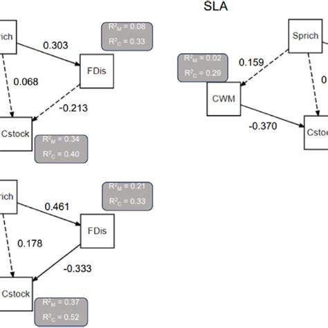 Results Of Structural Equation Modeling Sem Showing The Effects Of
