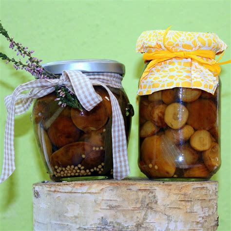 Hermetisering Av Skarpe Risker Norges Sopp Og Nyttevekstforbund