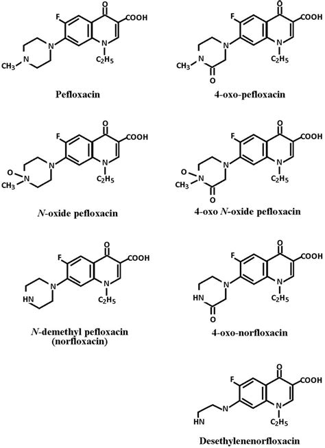 Frontiers | Oral Bioavailability and Plasma Disposition of Pefloxacin ...