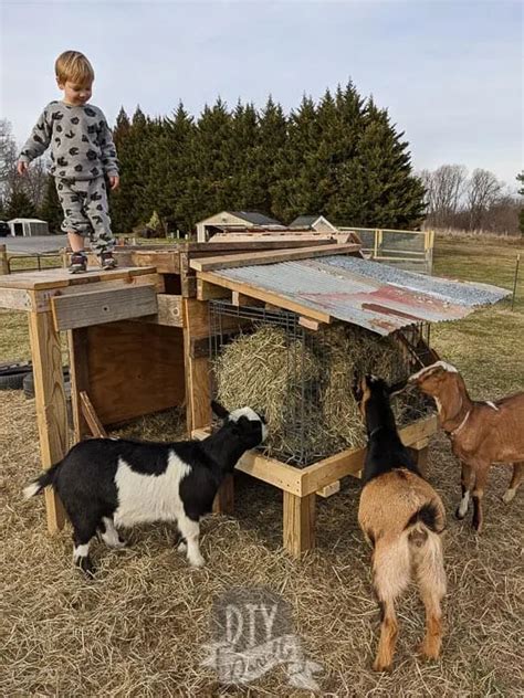 Goat Climbing Structures