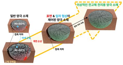 선양국 한양대 교수 전고체전지 혁신 기술 개발네이처 게재