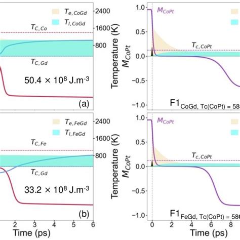 The Time Resolved Magnetization Dynamics Simulated For A