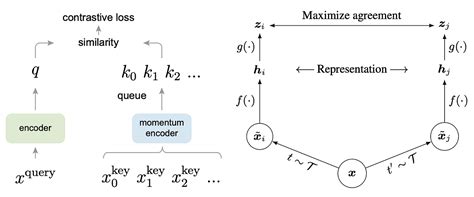 Contrastive Learning Comparison Between Architectures Of Moco And