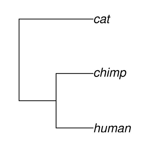 Conservation Genetics