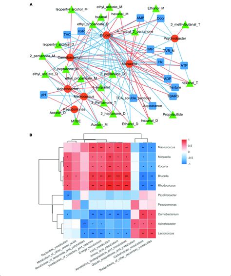 Network Analysis Of The Correlation Among Microbiota Biochemical