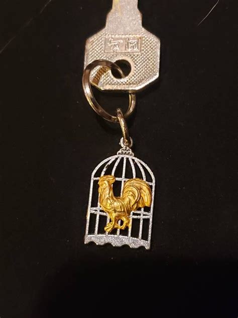 Kr03 Caged Cock Keyring Chastity Femdomcuckoldmistress Key Etsy
