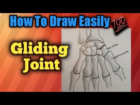Gliding Joint Meaning