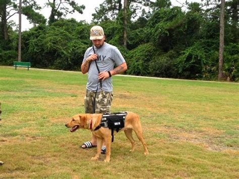 Freedom Warriors Best Friend