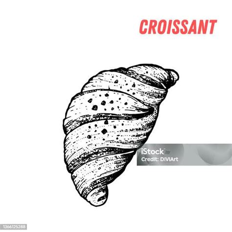 프랑스 디저트 크루아상 스케치 프렌치 페이스트리 음식 메뉴 디자인 템플릿입니다 손으로 그린 스케치 벡터 그림 검은색에 대한 스톡 벡터 아트 및 기타 이미지 Istock