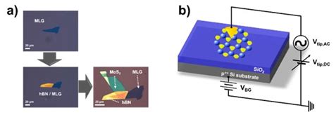 Surface Potential Characterization Of Two Dimensional Materials Through