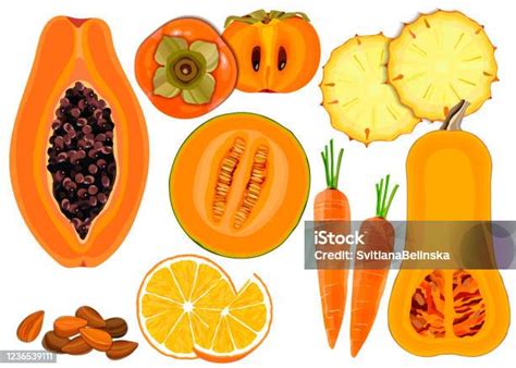 흰색 배경에 신선한 오렌지 색 야채와 과일 원시의 컬렉션 칸탈루프 멜론에 대한 스톡 벡터 아트 및 기타 이미지 칸탈루프 멜론 감귤류 과일 개체 그룹 Istock