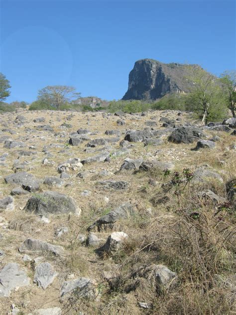 Timor 2016 Faultrock Structural Geology Neotectonics And