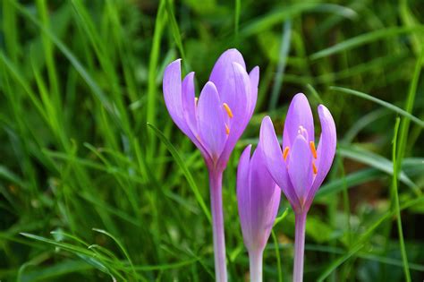 500 Kostenlose Naked Boob Und Frau Bilder Pixabay