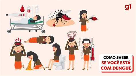 Cidade De Sp Registra Mais De 14 Mil Casos De Dengue Em 2024 São