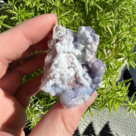 Botryoidal Chalcedony Etsy