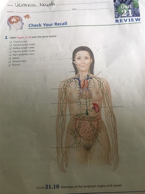 Solved Name Veronica Nayola Section UNIT B 21 REVIEW Check Chegg