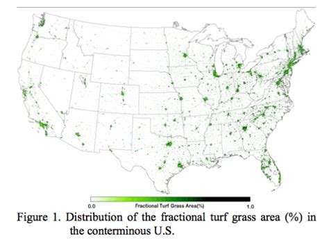 Grass Map