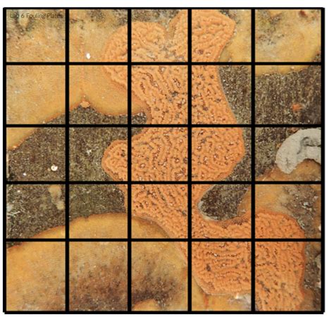 If Square Is Please Guide Me To Identify Chegg Com