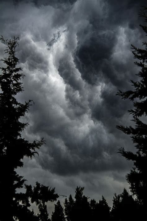 강렬한 구름 강렬한 날씨 거친 날씨 검은 구름 경치 구름 구름 경치 구름층 극적인 구름 기상 현상 나무 나무 실루엣 날씨 날씨 사진 뇌우 모노톤의