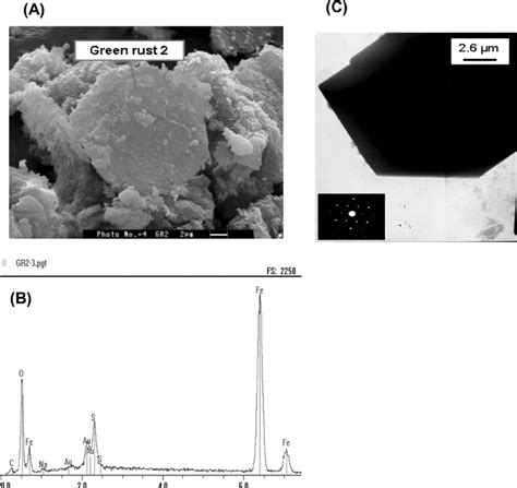 A Sem Micrograph Of Solids Produced During Bacterial Reduction Of