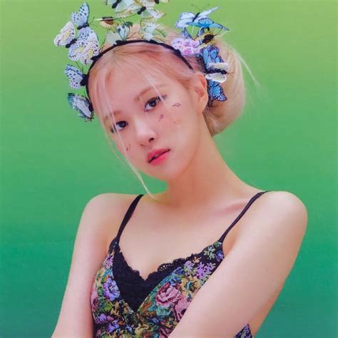 Blackpink Icons Seasons Greetings Kpop Groups Crown Jewelry Rose