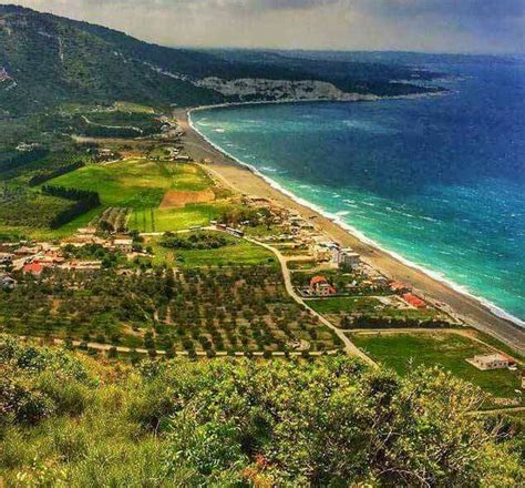 Lattakia شاطئ وادي قنديل ⚘ Farmland Country Roads Outdoor
