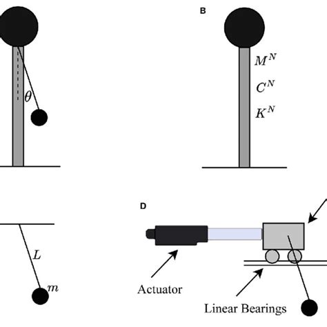 Hybrid Model Of Cs1 A Reference Structure B Numerical Download Scientific Diagram