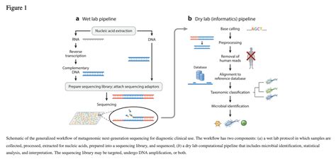 Chapter 4 Community Profiling Part Ii Metagenomics Workshop Ncgr