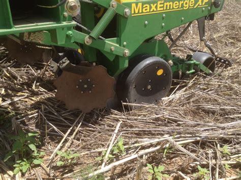 Fall Cover Cropping For Texas—is It For You How Many Species Should I