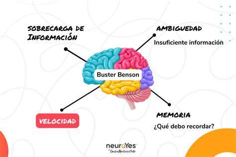 Qué son los sesgos cognitivos neuroYes
