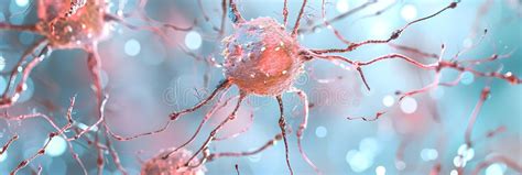 Derived Neuron Stock Illustrations 15 Derived Neuron Stock