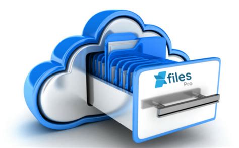Leveraging Your Salesforce File Storage On Premise Storage System