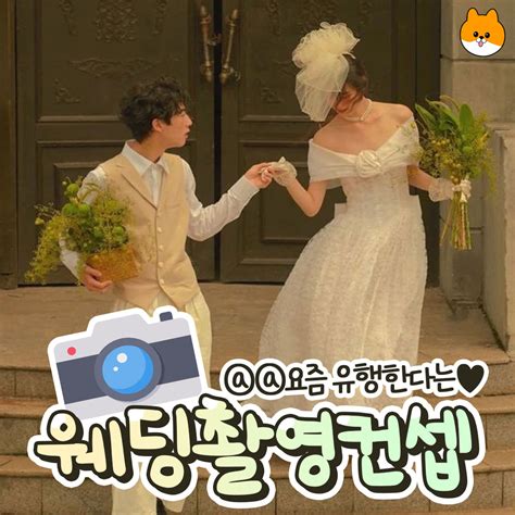 결혼의모든것 요즘 유행한다는 웨딩촬영 컨셉zip 우리도 이렇게 찍쟝😆😆 웨딩 웨딩사진 웨딩컨셉 컨셉씬