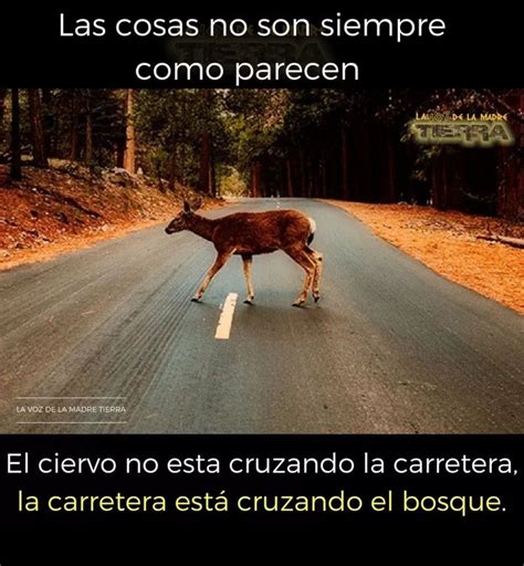 Country Roads Mary Great Quotes Powerful Quotes Pretty Quotes