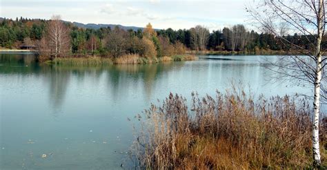 Home Silbersee At