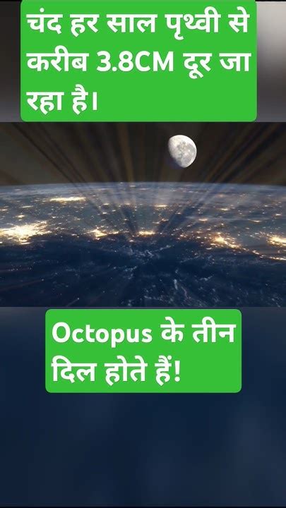 कुछ Interesting Fact Octopus के तीन दिल होते हैं Shorts Youtube