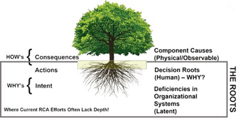 Leveraging Foresight Via Root Cause Analysis Defect Elimination