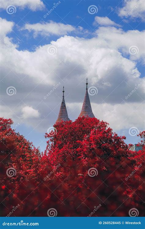 Vertical Shot Of Red Leaves On Trees With Two Towers Behind Under A