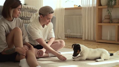 лесбиянки женщины играют с собакой в уютном доме Spbd лгбт пара счастлива с домашним питомцем