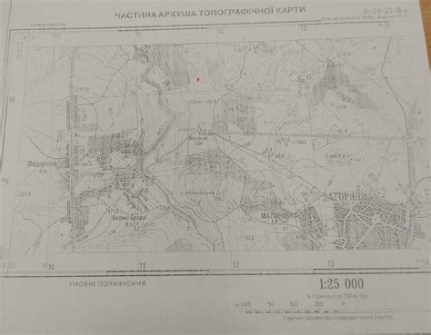 помогите пожалуйста найти кординату этой точки срочно Школьные Знания Com