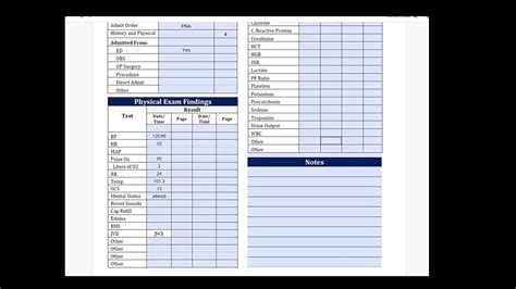 Coding Audit Worksheet