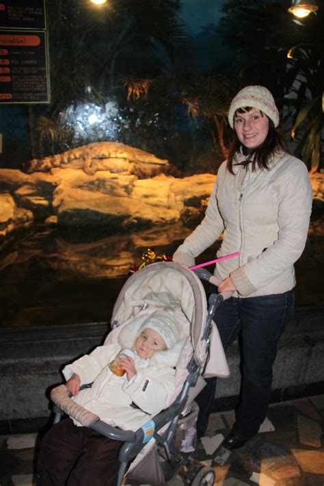 Img1042 Alexey Dotsenko Flickr