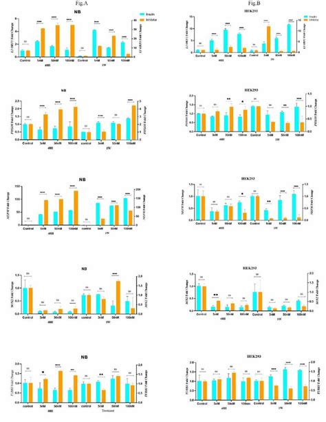 Candidate Genes Expression In Be 2 M17 And Hek293 Cell Lines Under