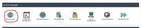 How To Change Your Main Domain From DirectAdmin Hosting Panel Cyber Developer BD Support Portal