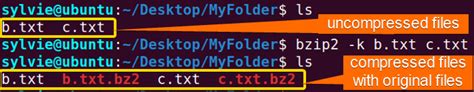 The Bzip2 Command In Linux 7 Practical Examples