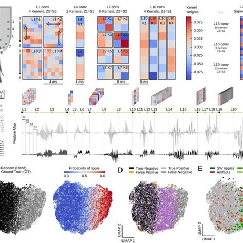 Analysis Of The Cnn Kernel Saliency Maps A Schematic Illustration Of