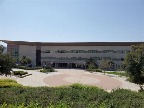 Csusm Library Unveils Exhibit To Document Pandemic The Cougar Chronicle