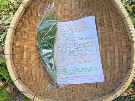 のと風ふぁ〜む 大分県日田市に移住をして今回で10回目の発送となりました無農薬・無化学肥料の【日田の旬おまかせ野菜・山菜セット定期便